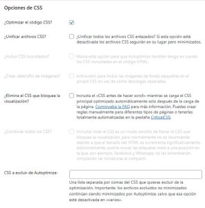 Autoptimize: Optimiza tu WordPress en minuto Guía 2024