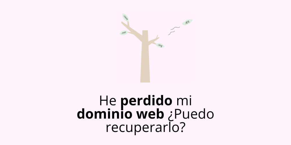 He Perdido Mi Dominio Web ¿Cómo Puedo Evitarlo y Recuperarlo?