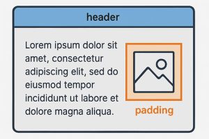 Margin y Padding en CSS para principiantes Guía con ejemplos