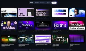 Ejemplos de Portfolios Online en 2025 Inspírate y Destaca